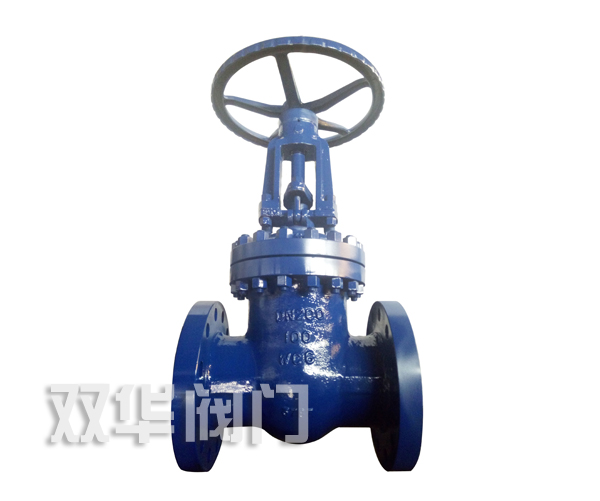 Z41Y-100I手动闸阀-浙江双华阀门科技有限公司