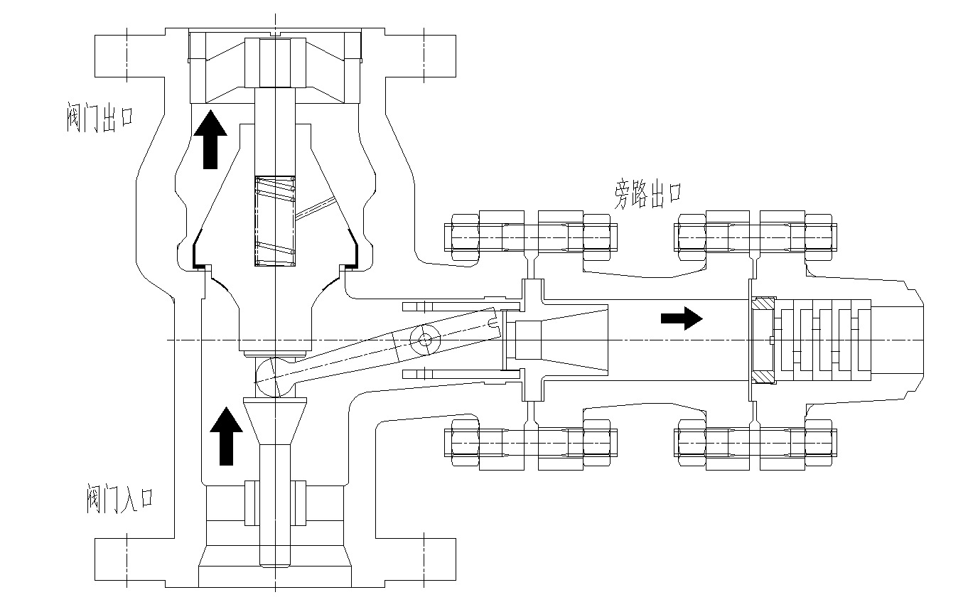H48H-200空排止回阀-浙江双华阀门科技有限公司